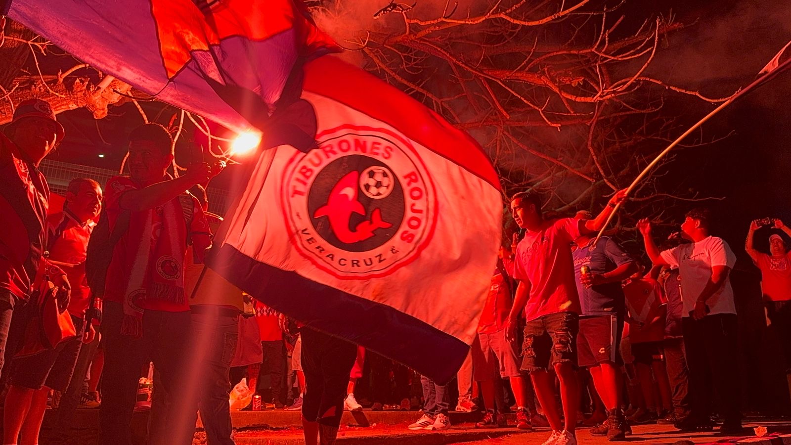 Aficionados celebran aniversario de los Tiburones Rojos y exigen el ...