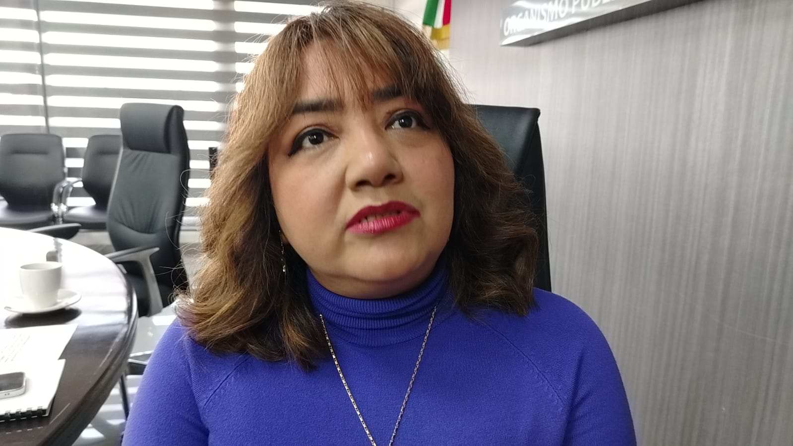 OPLE realizará recuento parcial en Tamiahua; de mantenerse la ...